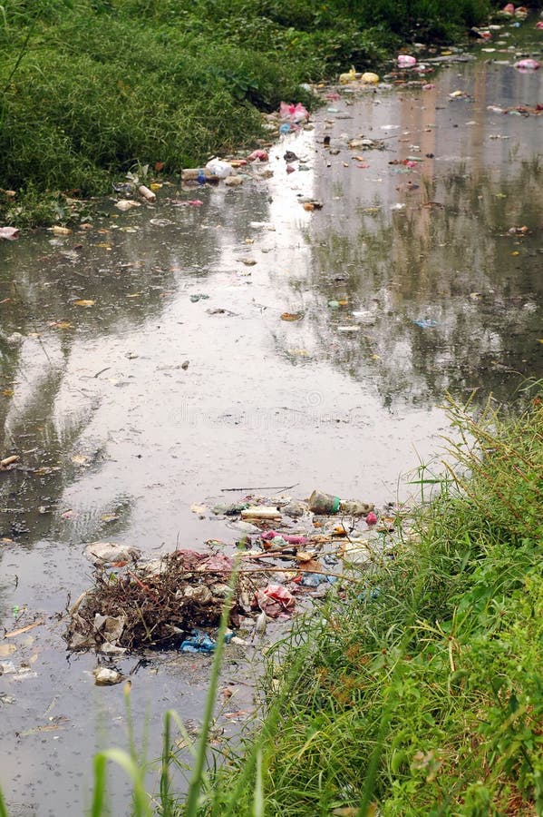 River pollution stock image. Image of nature, pollution - 5723219