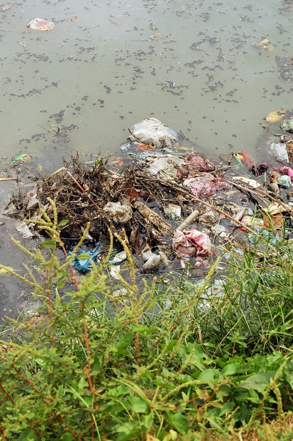 River pollution stock image. Image of water, bank, contamination - 8120807