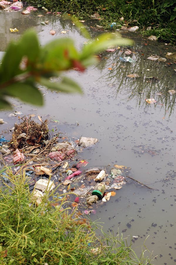 River pollution stock photo. Image of leaf, plant, pollution - 8120944