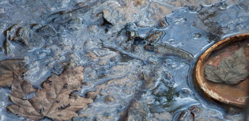 Abstract Sludge Texture. Green Background .standing Water Stock Photo ...