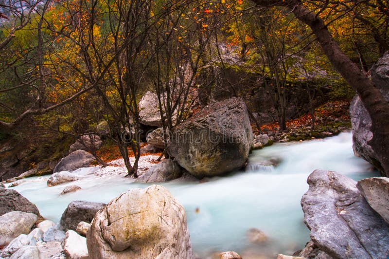 Pojar Stock Photos - Free & Royalty-Free Stock Photos from Dreamstime