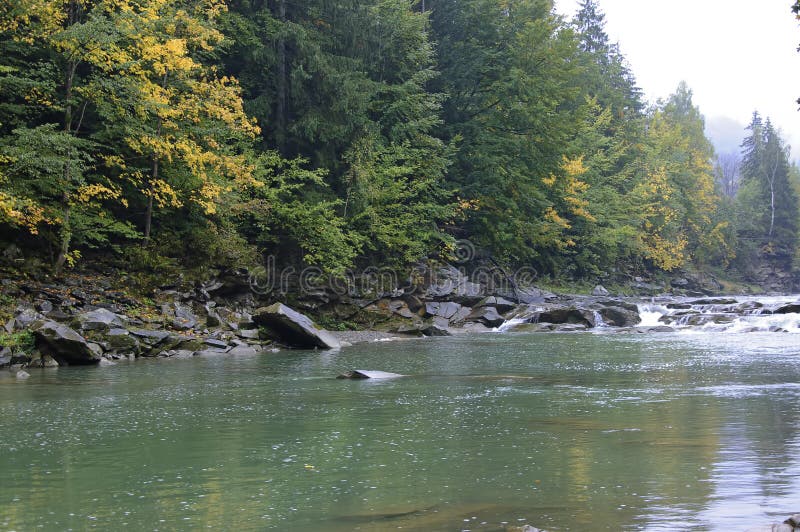 Bank of the Prut river stock photo. Image of rapids, yellow - 77968596