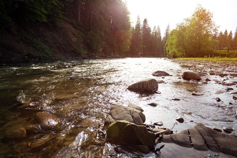 River Prut stock image. Image of landscape, stream, ukraine - 80138339