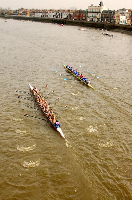 River Race editorial image. Image of head, thames, race - 4615130
