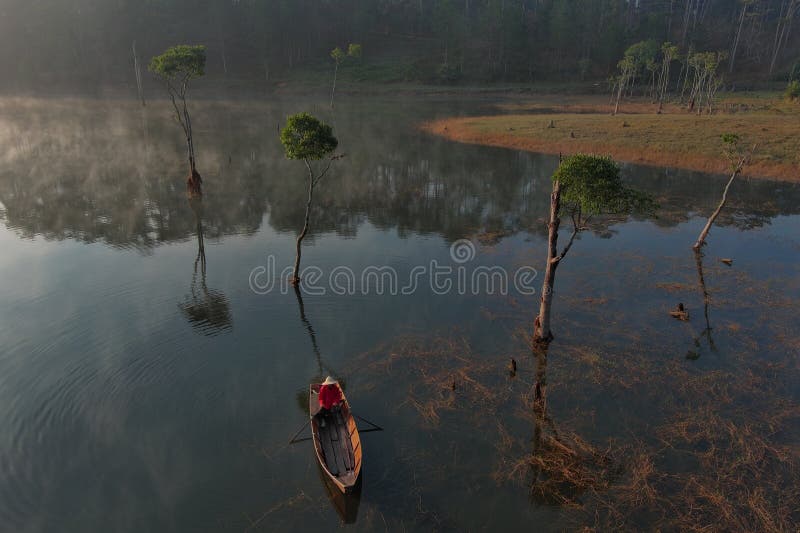 River and Rain Forest at Amazonas, Brazil Stock Image - Image of brazil ...