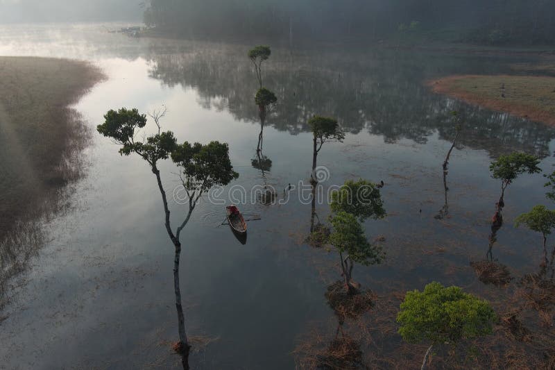 River and Rain Forest at Amazonas, Brazil Stock Image - Image of ...