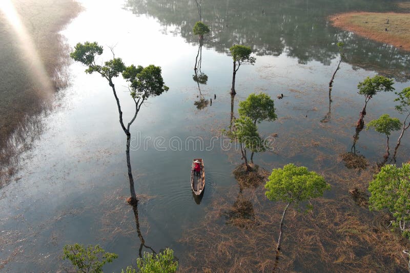 River and Rain Forest at Amazonas, Brazil Stock Image - Image of ...