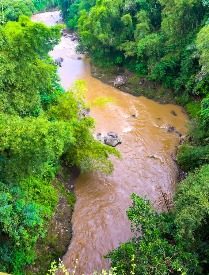 River in the Rain Forest. Sumedang West Java Indonesia Stock Photo ...