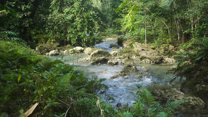 River in the rainforest stock image. Image of countryside - 108284151