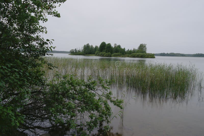 River in rainy weather stock image. Image of lake, mirror - 195549871