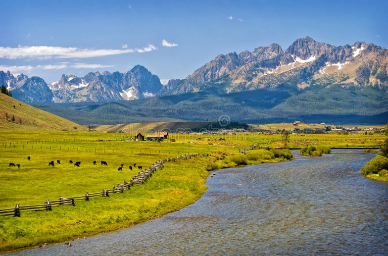 6,458,151 River Tarmigan Stock Photos - Free & Royalty-Free Stock ...