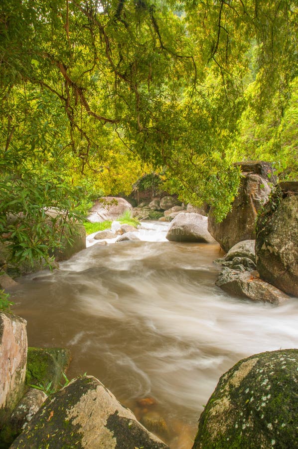 Gashing Stock Photos - Free & Royalty-Free Stock Photos from Dreamstime