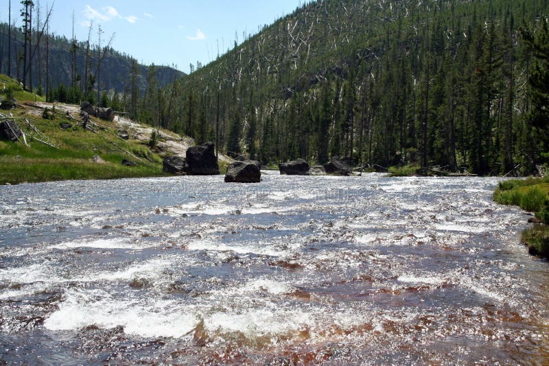 River rapids stock image. Image of yellowstone, beauty - 10784953