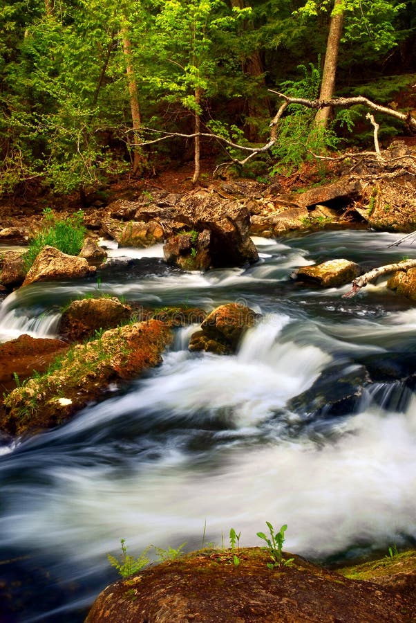 Wilderness River Rapids stock image. Image of outdoor - 2252615
