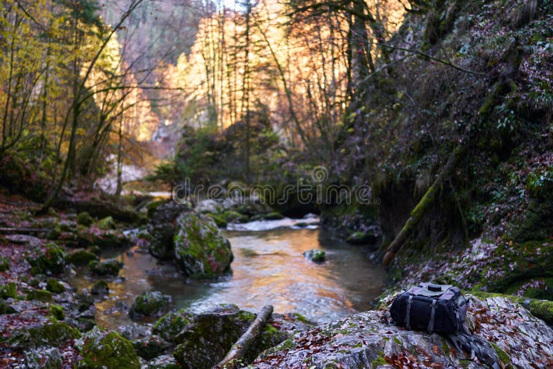 River rapids in the forest stock image. Image of deciduous - 260899559