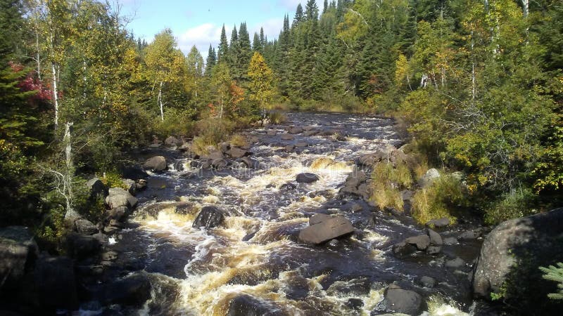 River Rapids stock photo. Image of trees, pinetrees - 148384440