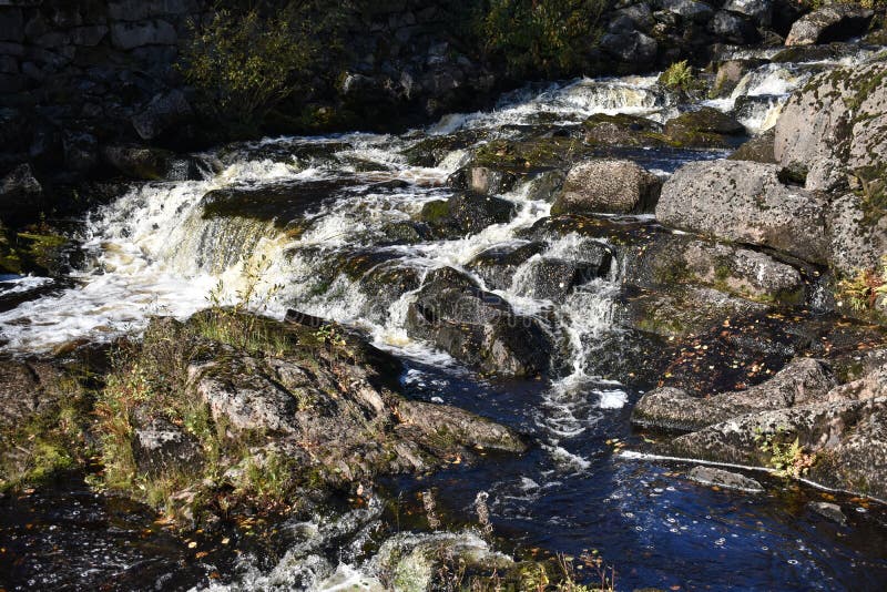 River rapids stock image. Image of stream, landscape - 132732783