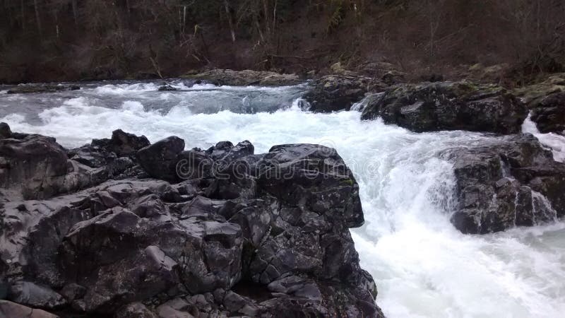 River rapids stock photo. Image of rocks, water, trees - 157234236