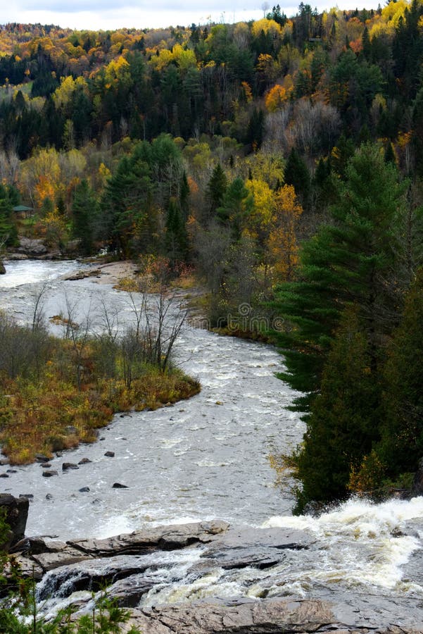 River with Rapids Streaming Down into the Woods Stock Image - Image of ...