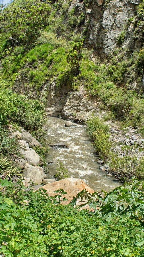 River in a ravine stock photo. Image of south, latin - 149735440