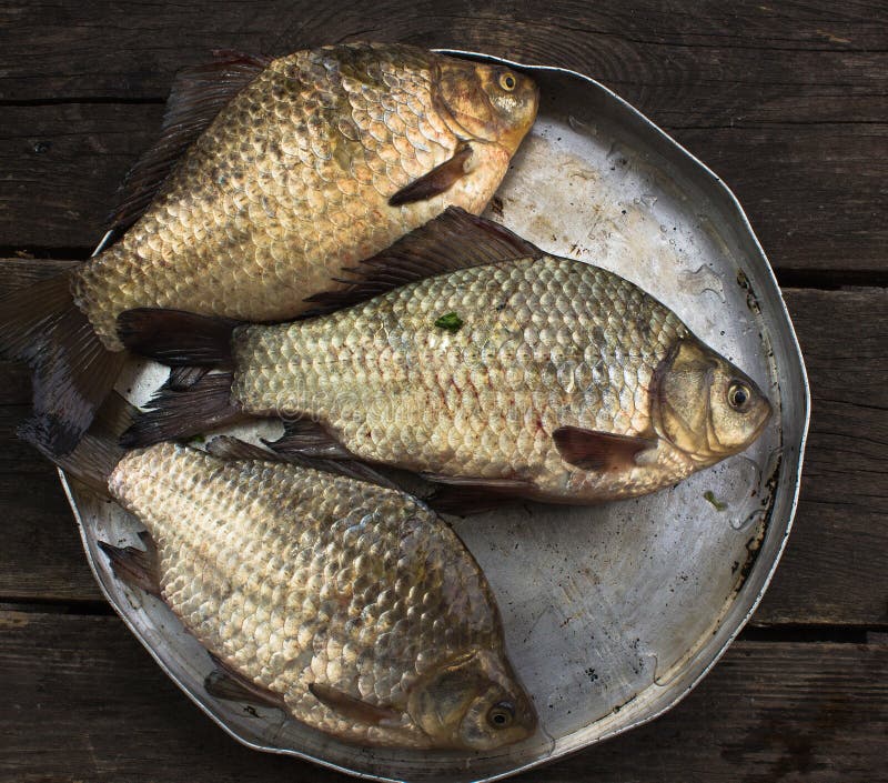 River Raw Fish - Carp, in a Round Plate Stock Photo - Image of fishing ...