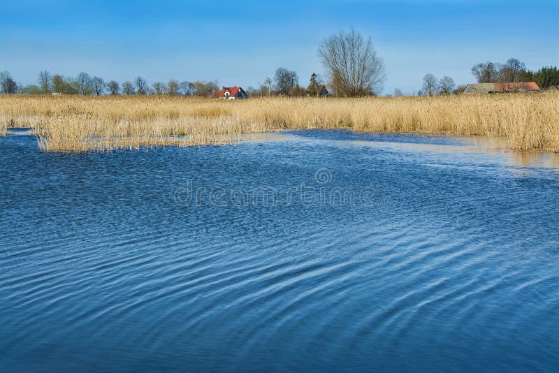 River, Reeds and Blue Sky, Beautiful Spring Landscape Stock Photo ...