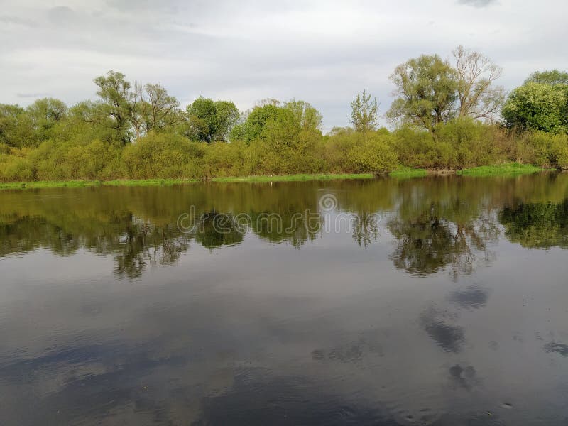 The River and the Reflection of the Forest in it Stock Image - Image of ...