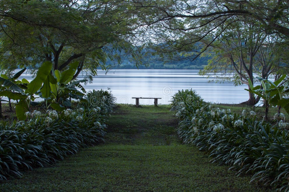 River Reflection with Tree at Night Time Stock Photo - Image of clouds ...