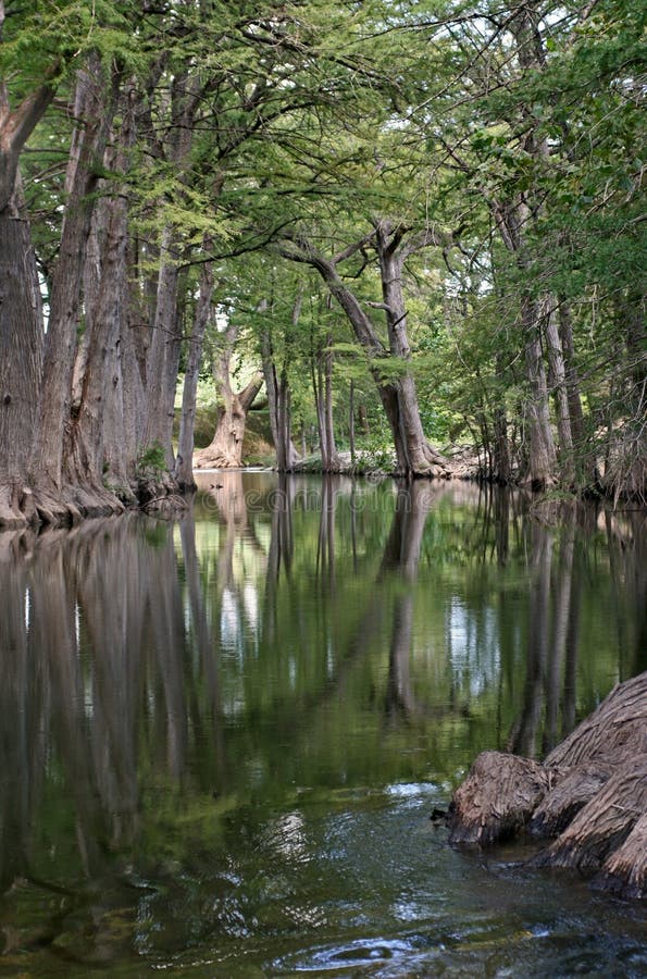 River Reflections stock photo. Image of landscape, texas - 4596420