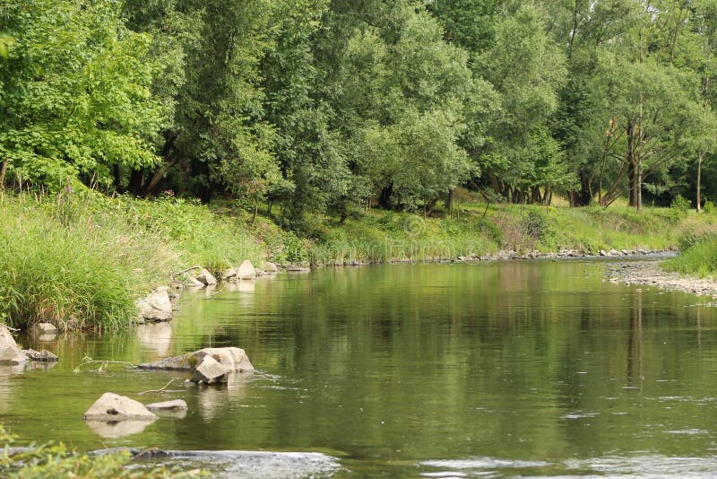 River with reflections stock image. Image of grow, landscape - 74801849