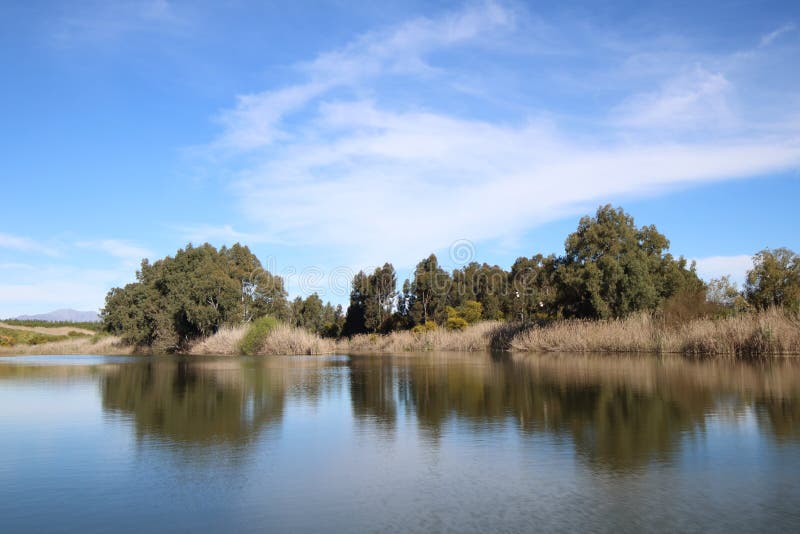 River and Reflections with Trees and Cloudy Blue Sky Stock Image ...