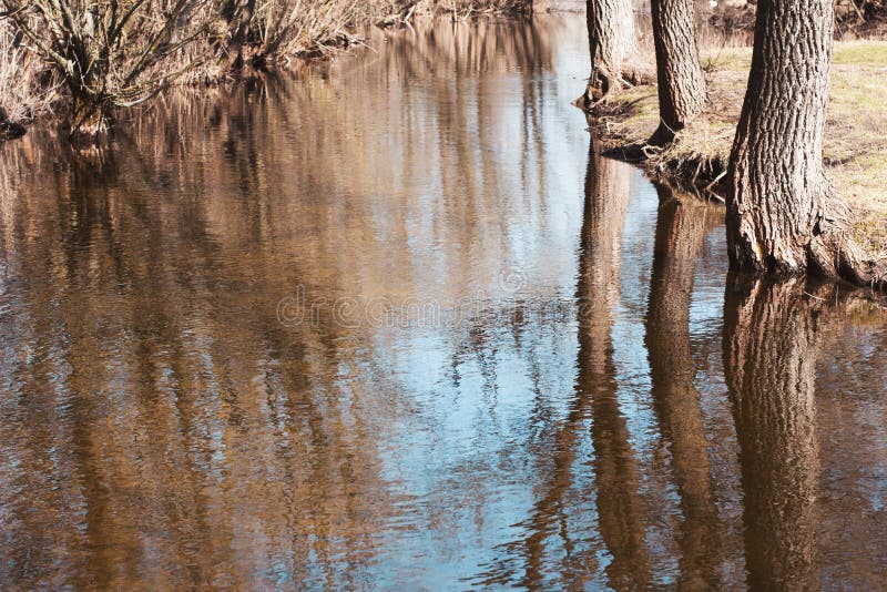 River with reflections stock image. Image of brown, sunny - 42762917