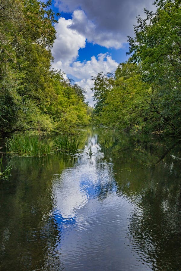 A River in Remote Wild Places Stock Photo - Image of road, background ...