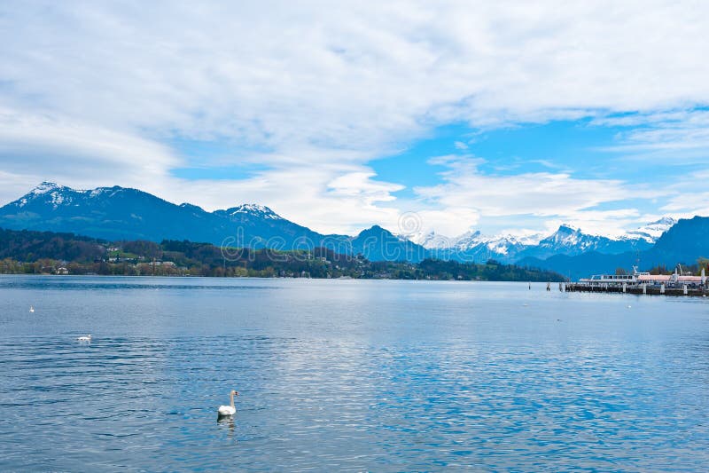 River Reuss stock image. Image of animal, river, clouds - 25552639