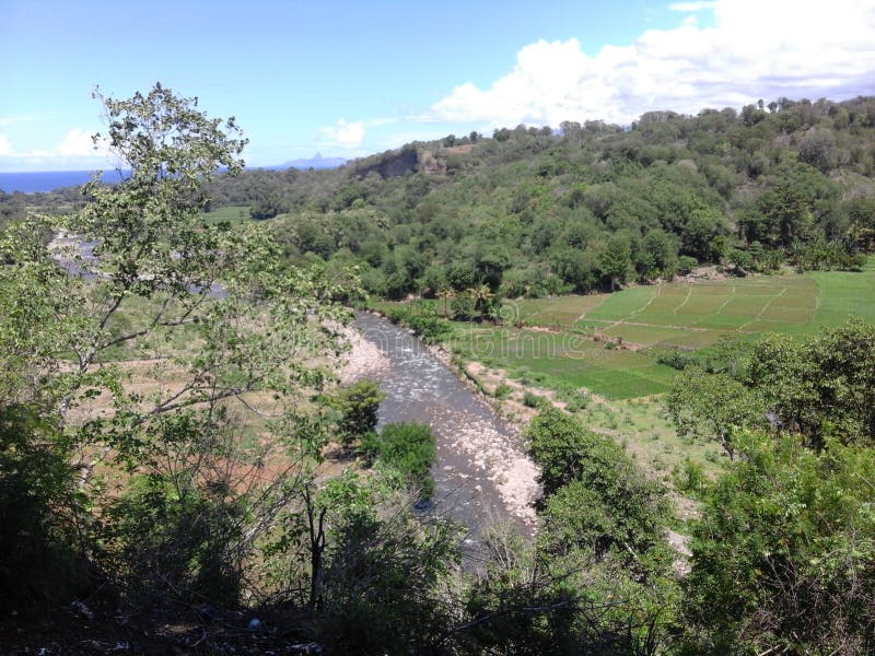 River and rice field stock image. Image of gren, flores - 68659259