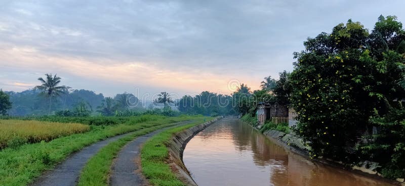 River and the rice fields stock image. Image of sunrise - 173011539