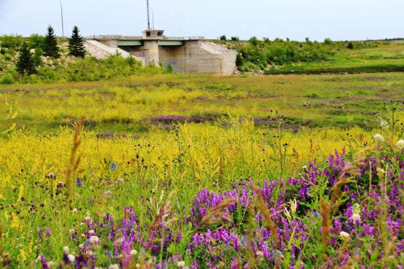 River River Drive , Winnipeg Stock Photo - Image of river, purple: 79329358