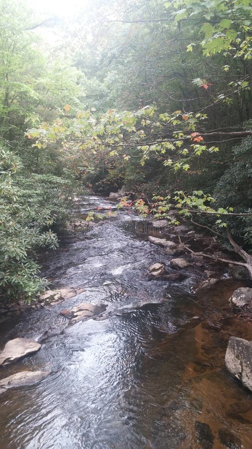 River stock photo. Image of river, water, hiking, nature - 131048166