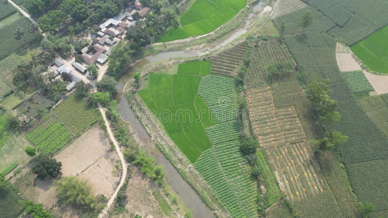 River stock footage. Video of irrigation, corn, farming - 316615062