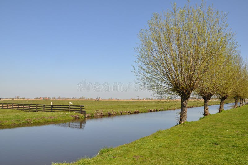 River stock image. Image of river, farm, peaceful, growing - 39541833