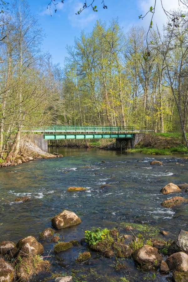 River with a Road Bridge in a Forest in the Spring Stock Photo - Image ...