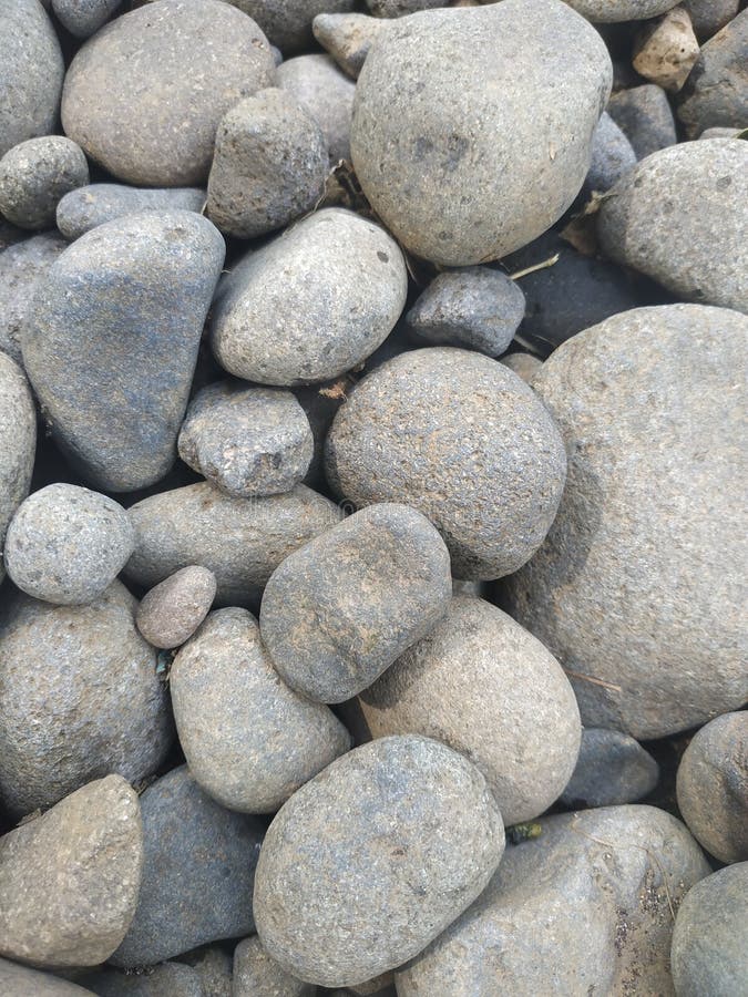 River rock collection stock photo. Image of river, collection - 255321066