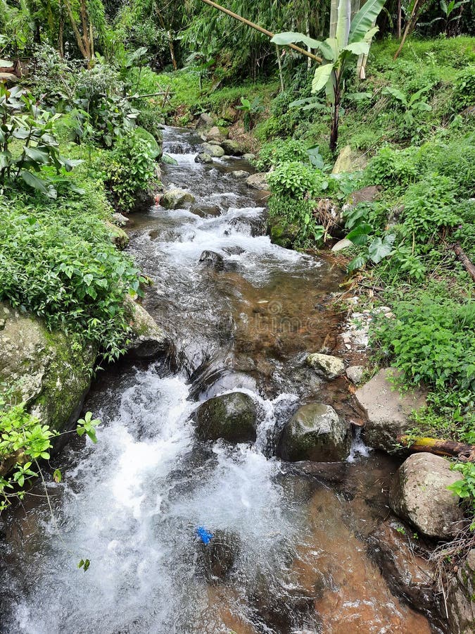 River rock green stock photo. Image of river, rapid - 209189690