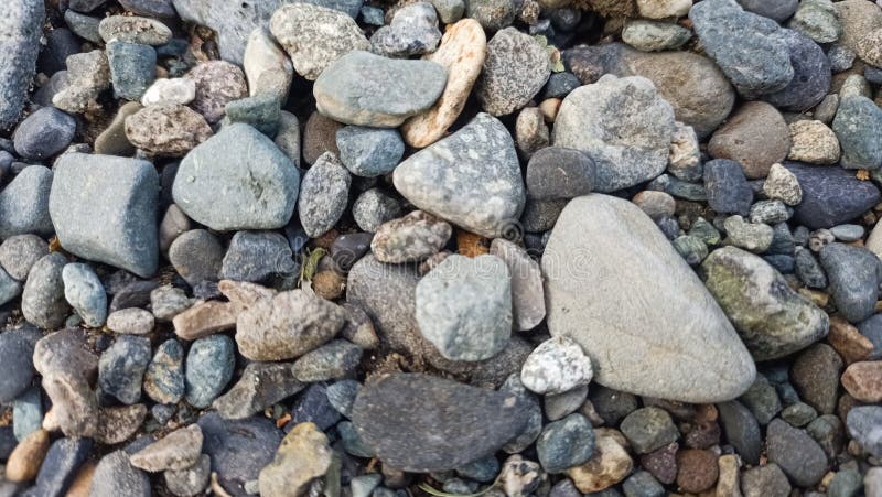 River Rock in Tropical Forest Stock Image - Image of stones ...