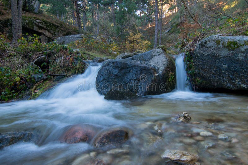 River with Rocks Flowing through Forest Stock Image - Image of rocks ...