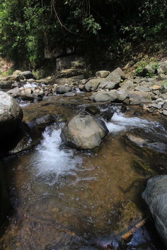 River stock photo. Image of autumn, woodland, nature - 382705556