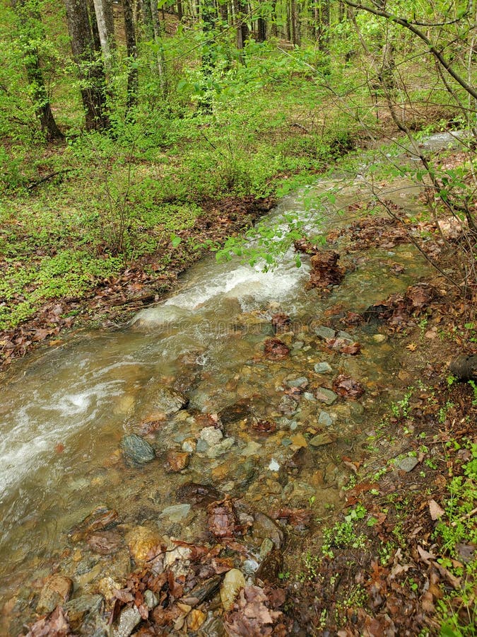 River Rocks Nature Water Woods Trees Stock Photo - Image of plant ...