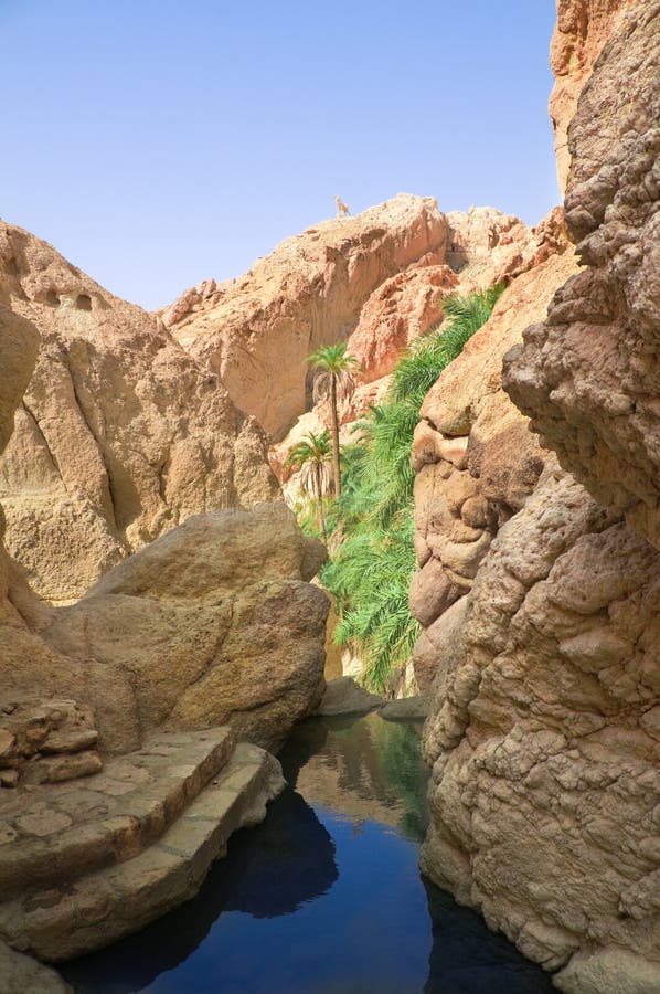 Waterfall in Mountain Oasis Chebika, Tunisia, Africa Stock Photo ...