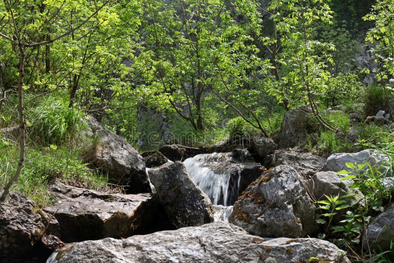 River, Rocks and Spring in Cerna Mountains, Romania Stock Image - Image ...