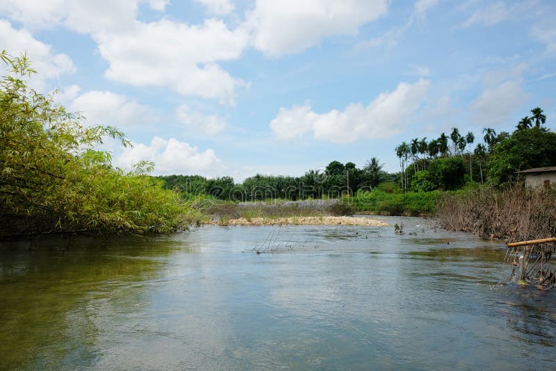 River with Rocks, Stream in a Tropical Stock Image - Image of foliage ...